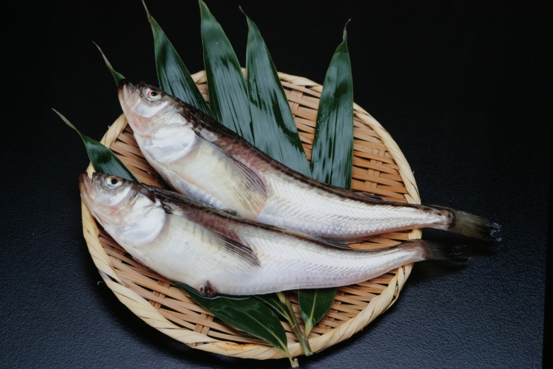 Seafood from the Sea of Japan | Shirakami Sanchi | Visit Shirakami ...