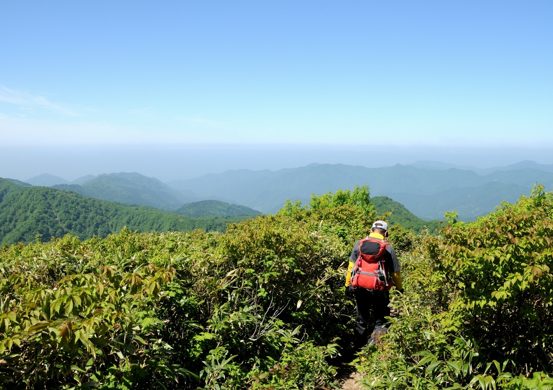 Hiking in Shirakami Sanchi | Shirakami Sanchi | Visit Shirakami Tread ...