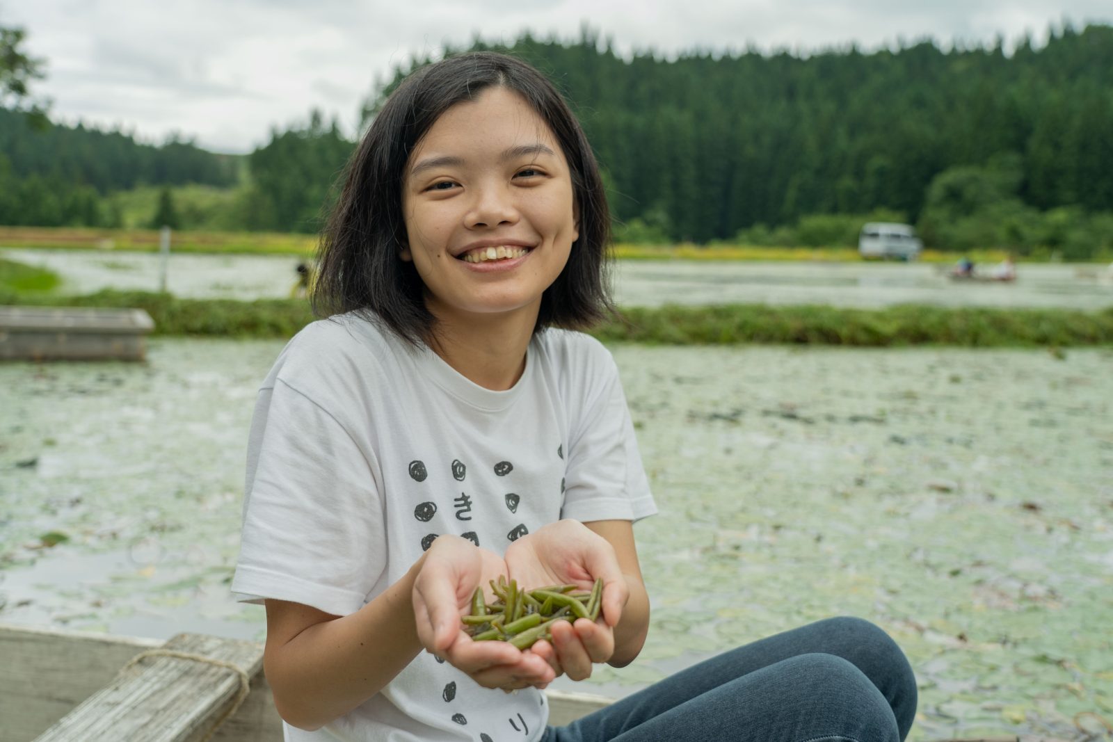 Picking junsai (water shield) | Shirakami Sanchi | Visit Shirakami ...