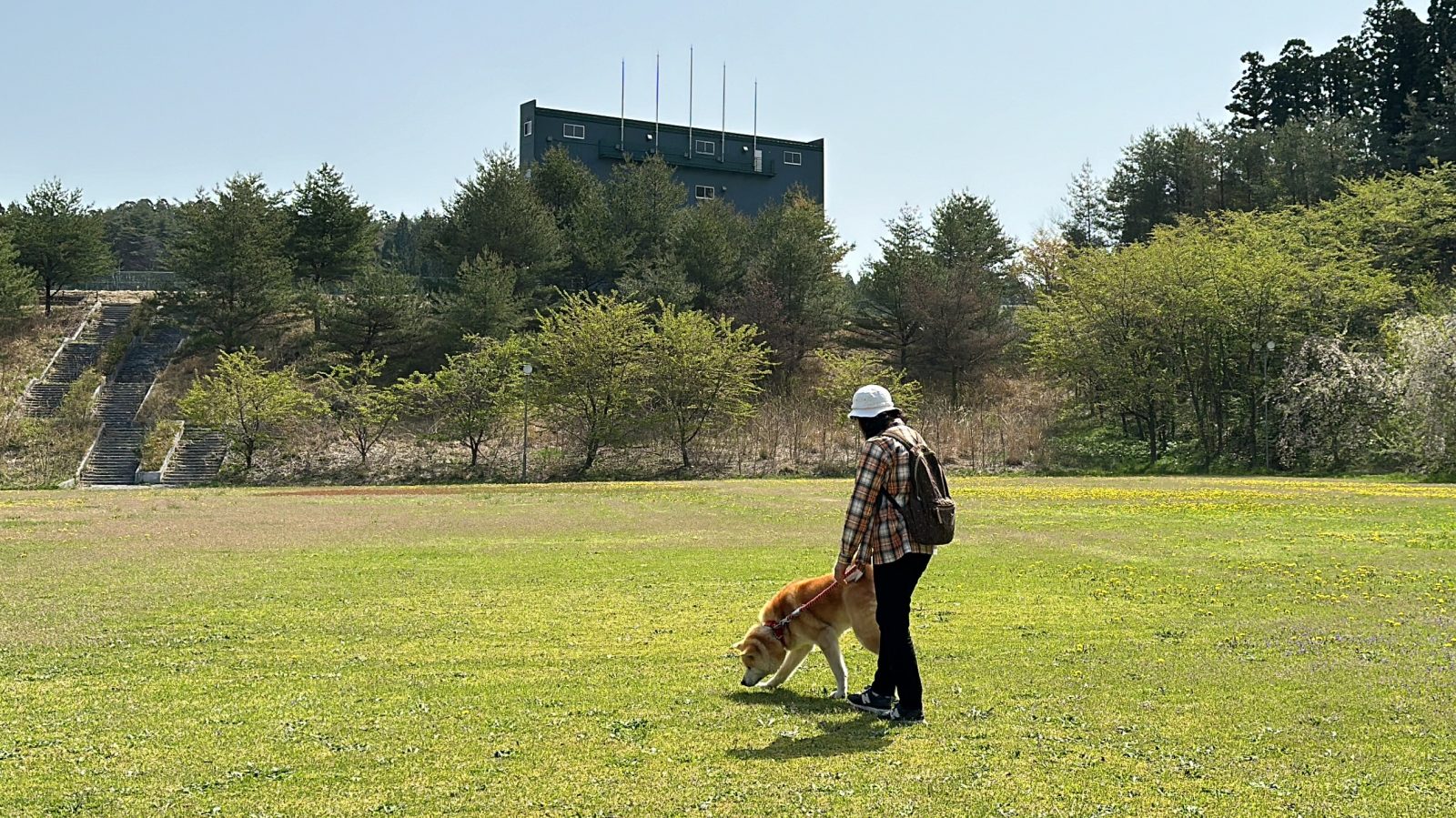 A Nature-Lover’s Duo in Akita: Hike with an Akita Dog & Make Miso ...